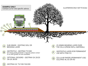 Tree Root Protection – Example – Groundtrax